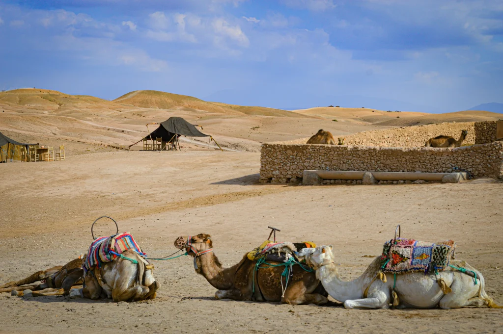 Incredible 1 Day Agafay Desert Morocco Escape from Marrakech - The ...